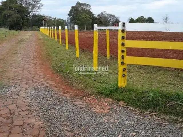 Sítio / Chácara para Venda em Foz do Iguaçu/PR Área Rural de Foz do Iguaçu