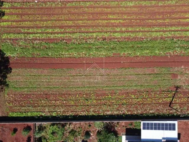 Sítio / Chácara para Venda em Foz do Iguaçu/PR Loteamento Mata Verde