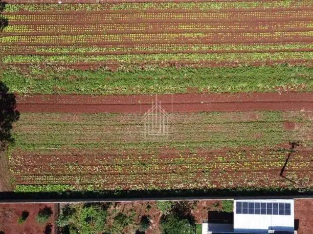 Sítio / Chácara para Venda em Foz do Iguaçu/PR Loteamento Mata Verde