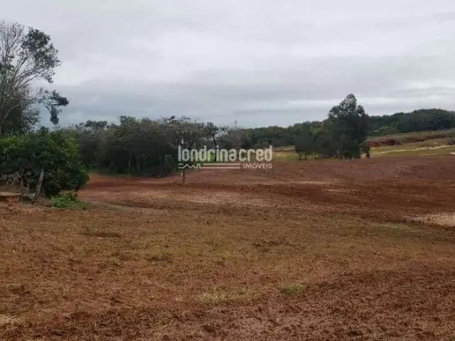 Sítio / Chácara para Venda em Faxinal/PR Centro