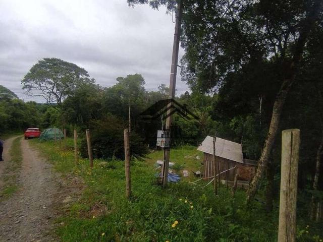 Sítio / Chácara para Venda em Fazenda Rio Grande/PR Área Rural de Fazenda Rio Grande