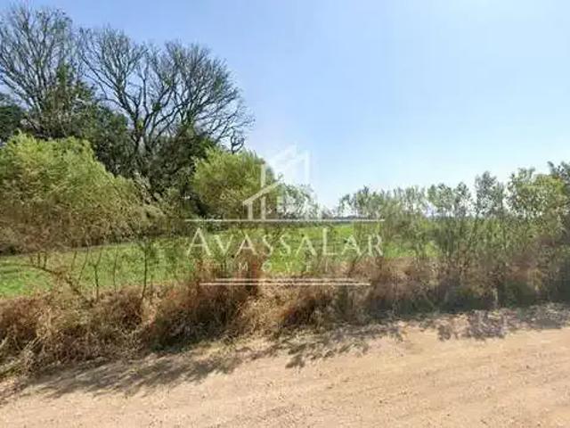 Sítio / Chácara para Venda em Fazenda Rio Grande/PR Passo Amarelo