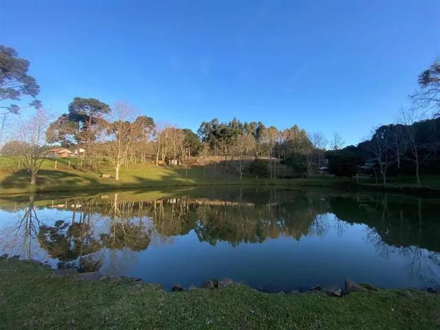 Sítio / Chácara para Venda em Farroupilha/RS Zona Rural 2 Quartos