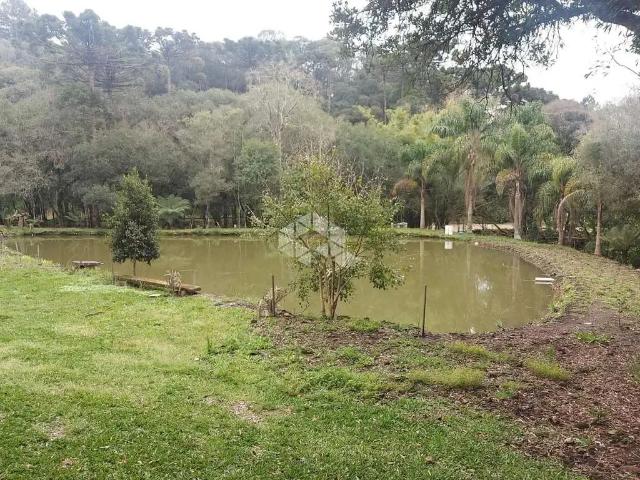 Sítio / Chácara para Venda em Farroupilha/RS Zona Rural 2 Quartos