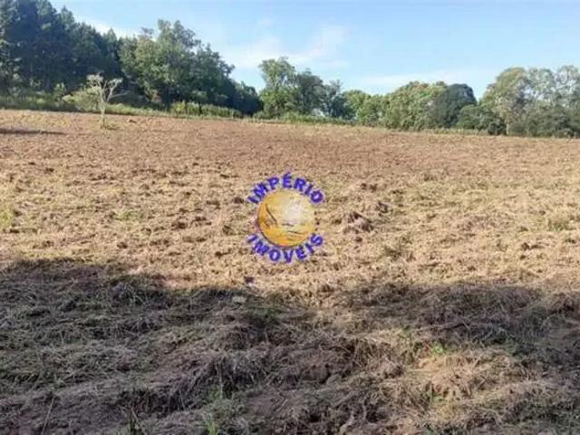 Sítio / Chácara para Venda em Farroupilha/RS Zona Rural
