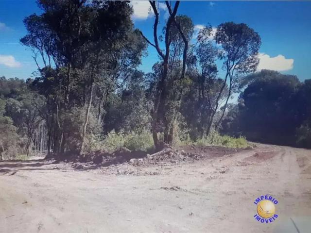 Sítio / Chácara para Venda em Farroupilha/RS Zona Rural