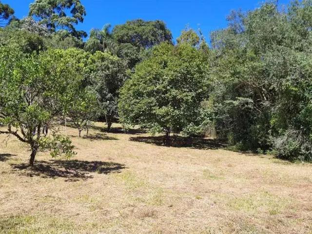 Sítio / Chácara para Venda em Farroupilha/RS Forqueta