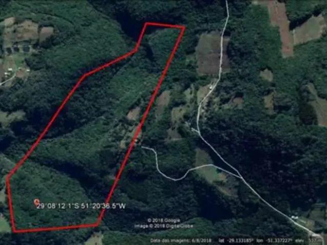 Sítio / Chácara para Venda em Farroupilha/RS Jansen