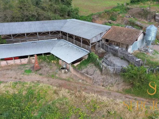 Sítio / Chácara para Venda em Farroupilha/RS Nova Milano
