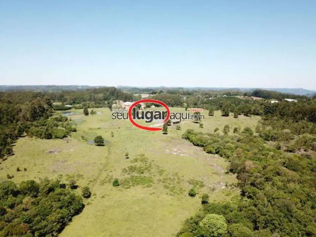 Sítio / Chácara para Venda em Farroupilha/RS Nova Sardenha Distrito