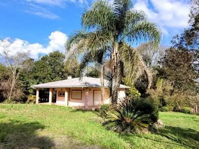 Sítio / Chácara para Venda em Farroupilha/RS Nova Sardenha Distrito 3 Quartos
