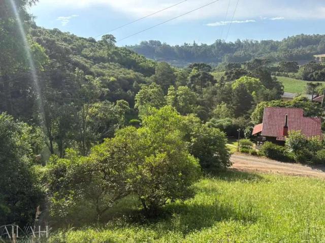 Sítio / Chácara para Venda em Farroupilha/RS Nova Sardenha Distrito 3 Quartos