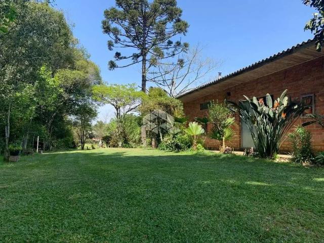 Sítio / Chácara para Venda em Farroupilha/RS Nova Sardenha Distrito 5 Quartos
