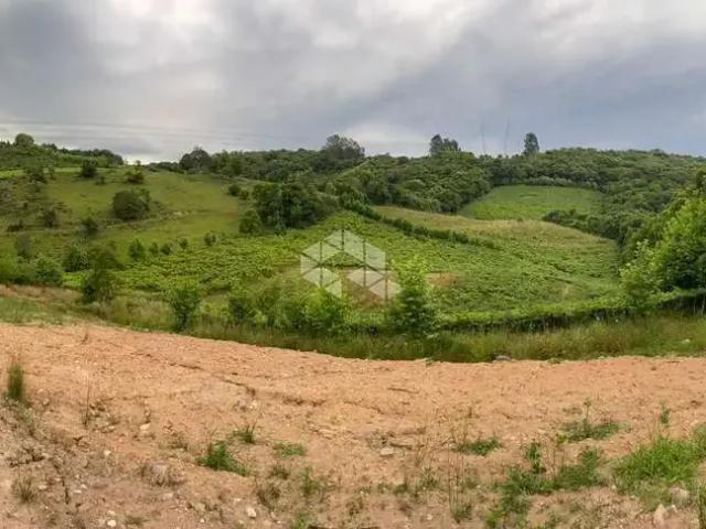 Sítio / Chácara para Venda em Farroupilha/RS São Marcos