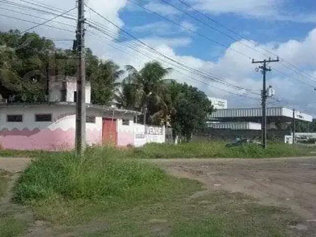 Sítio / Chácara para Venda em Feira de Santana/BA Humildes