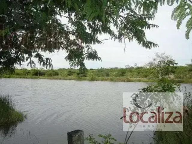 Sítio / Chácara para Venda em Feira de Santana/BA Papagaio
