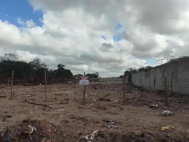 Sítio / Chácara para Venda em Feira de Santana/BA Papagaio