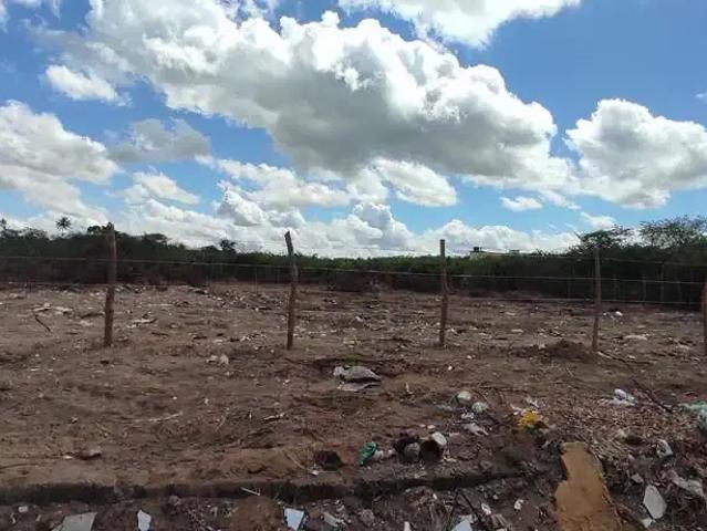 Sítio / Chácara para Venda em Feira de Santana/BA Papagaio
