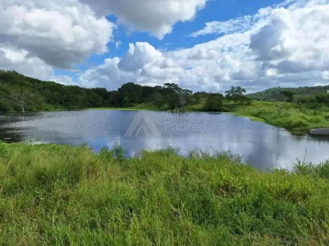Sítio / Chácara para Venda em Feira de Santana/BA Santo Antônio dos Prazeres