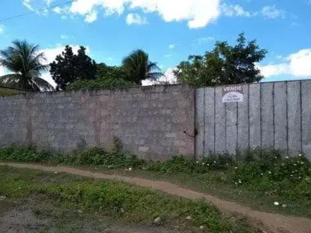 Sítio / Chácara para Venda em Feira de Santana/BA Santo Antônio dos Prazeres