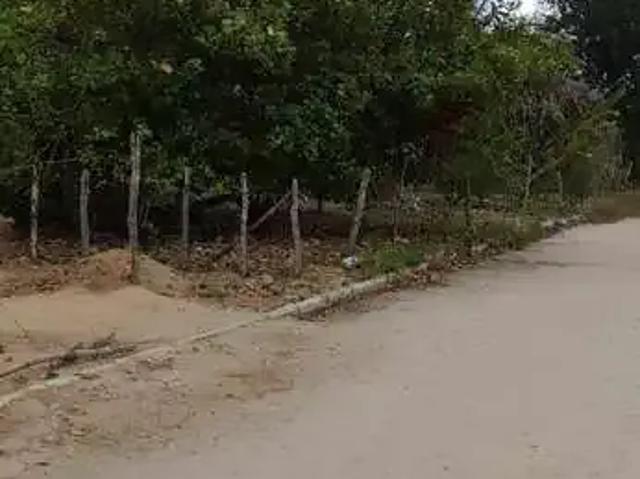 Sítio / Chácara para Venda em Feira de Santana/BA Santo Antônio dos Prazeres