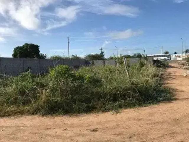 Sítio / Chácara para Venda em Feira de Santana/BA Sim