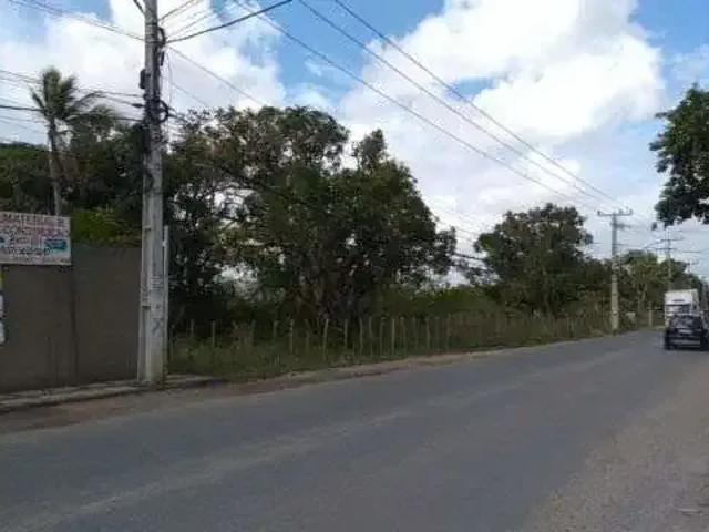 Sítio / Chácara para Venda em Feira de Santana/BA Sim