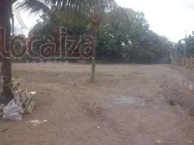Sítio / Chácara para Venda em Feira de Santana/BA Sim