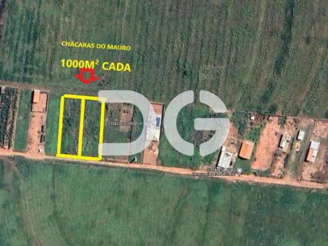 Sítio / Chácara para Venda em Fernandópolis/SP Zona Rural