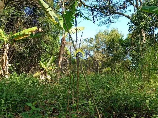 Sítio / Chácara para Venda em Ferraz de Vasconcelos/SP Chácara Descansolândia