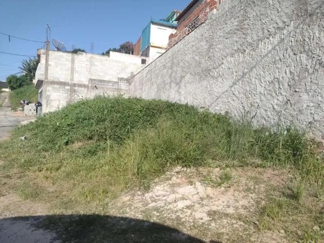 Sítio / Chácara para Venda em Ferraz de Vasconcelos/SP Jardim Espinha
