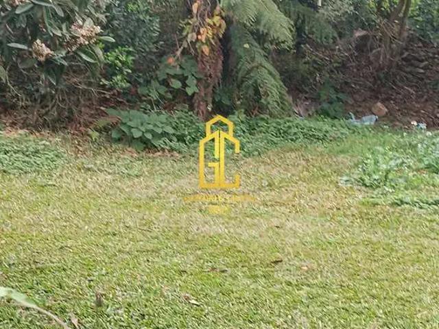 Sítio / Chácara para Venda em Flores da Cunha/RS São Cristóvão Distrito