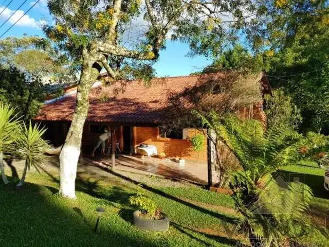 Sítio / Chácara para Venda em Flores da Cunha/RS São Gotardo Distrito 3 Quartos