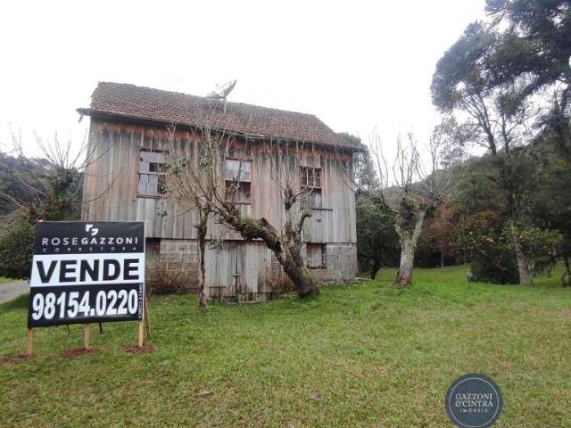 Sítio / Chácara para Venda em Flores da Cunha/RS São Gotardo Distrito