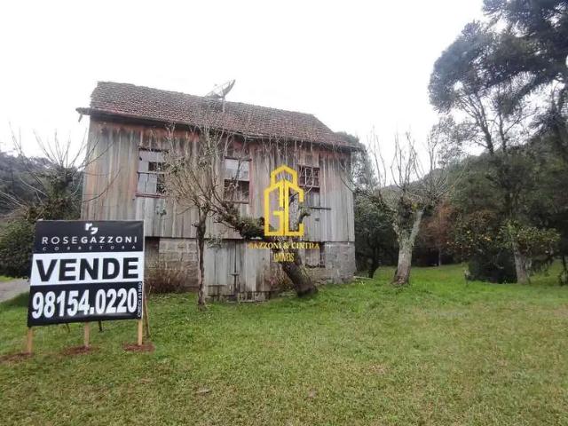 Sítio / Chácara para Venda em Flores da Cunha/RS São Gotardo Distrito