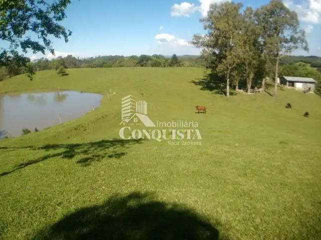 Sítio / Chácara para Venda em Flores da Cunha/RS Vila Travessão Claro