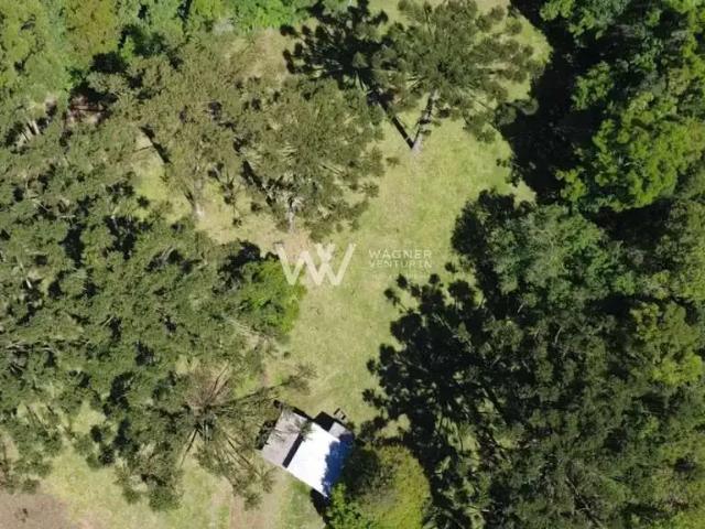 Sítio / Chácara para Venda em Flores da Cunha/RS Zona Rural 1 Quartos