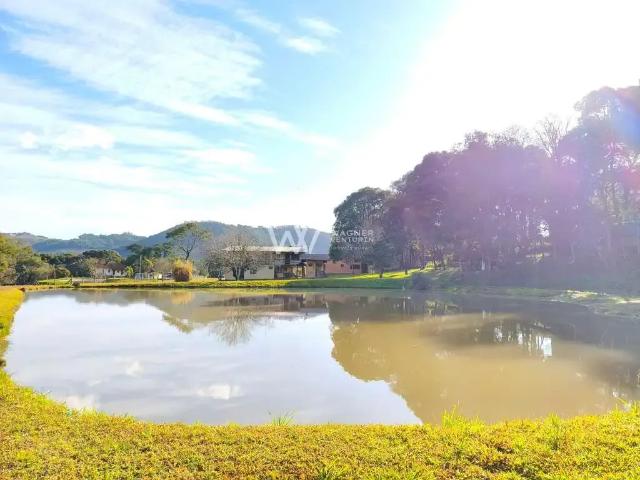 Sítio / Chácara para Venda em Flores da Cunha/RS Zona Rural 3 Quartos