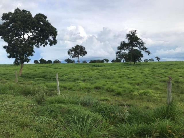 Sítio / Chácara para Venda em Flores de Goiás/GO Zona Rural