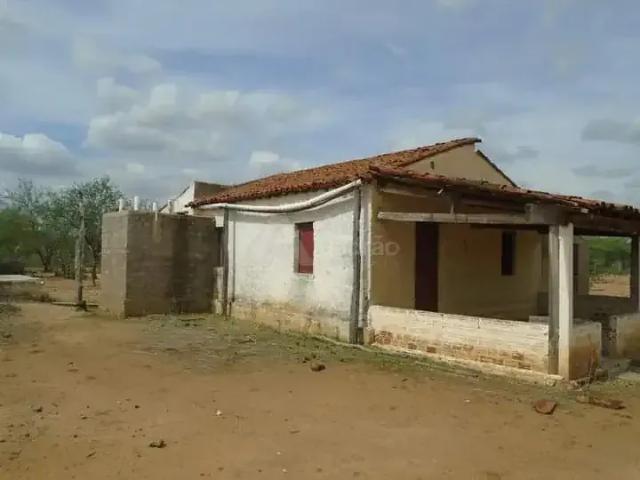 Sítio / Chácara para Venda em Floresta/PE Zona Rural