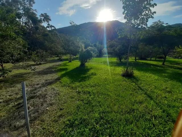 Sítio / Chácara para Venda em Florianópolis/SC São João do Rio Vermelho 1 Quartos