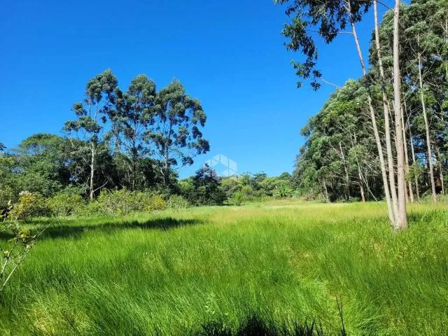 Sítio / Chácara para Venda em Florianópolis/SC São João do Rio Vermelho 1 Quartos