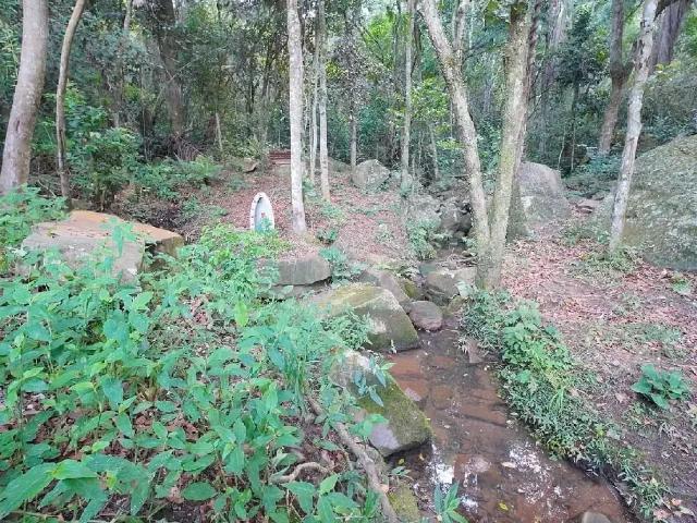 Sítio / Chácara para Venda em Florianópolis/SC São João do Rio Vermelho 3 Quartos