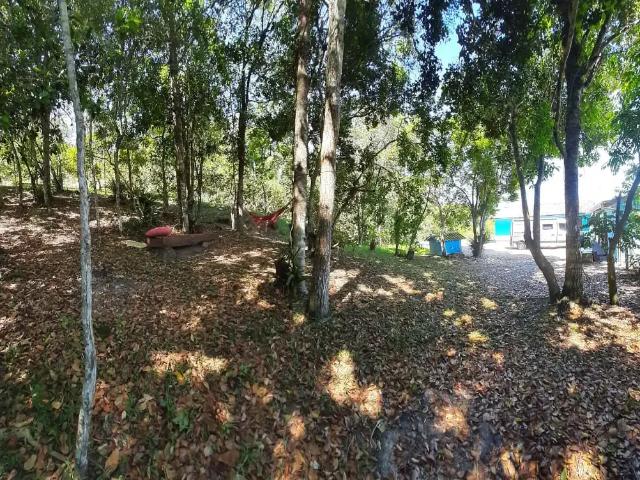 Sítio / Chácara para Venda em Florianópolis/SC Vargem Pequena 3 Quartos