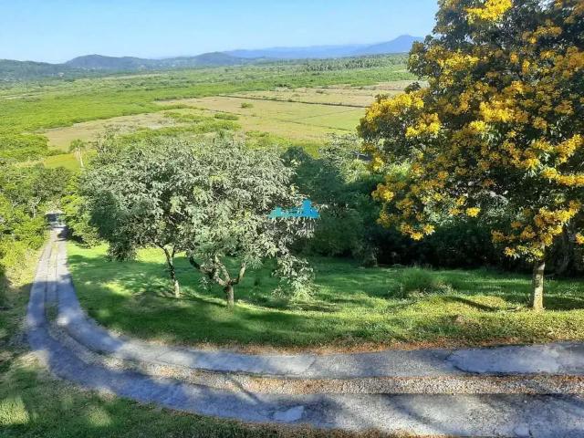 Sítio / Chácara para Venda em Florianópolis/SC Vargem Pequena 4 Quartos