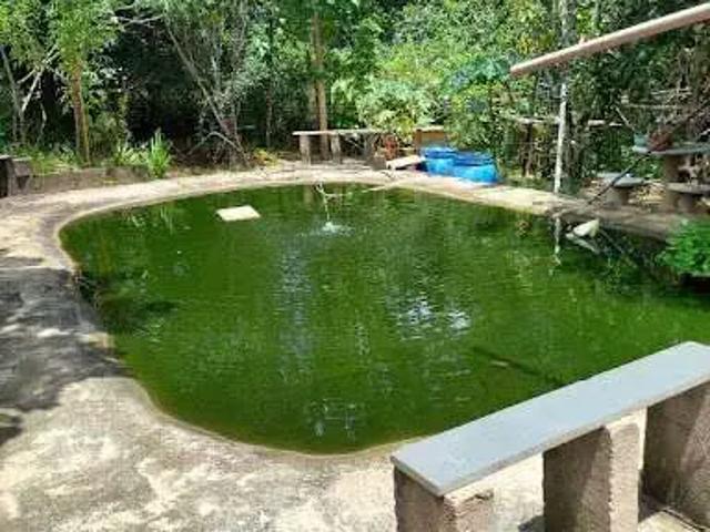Sítio / Chácara para Venda em Franca/SP Área Rural de Franca 1 Quartos