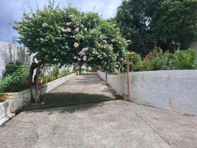 Sítio / Chácara para Venda em Francisco Morato/SP Jardim Santa Catarina 3 Quartos