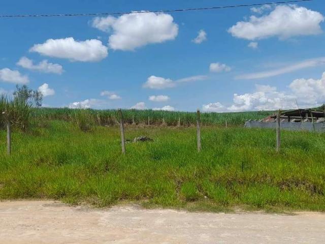 Sítio / Chácara para Venda em Holambra/SP Zona Rural