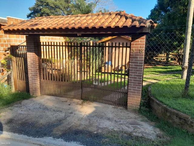 Sítio / Chácara para Venda em Holambra/SP Pinhalzinho