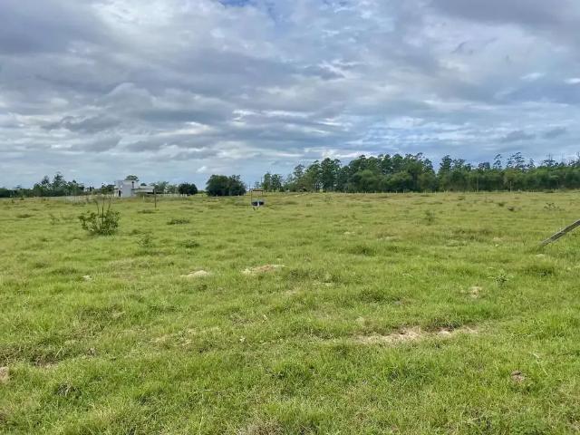 Sítio / Chácara para Venda em Içara/SC Vila São Pedro
